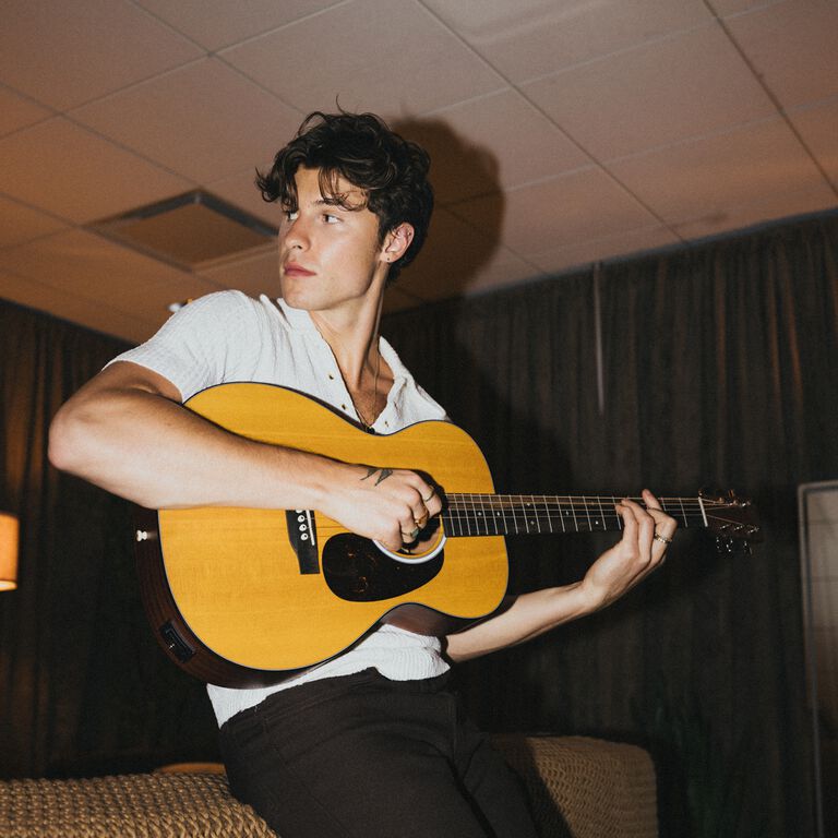 Shawn Mendes Custom Signature